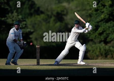 Cricket batter in action Stock Photo - Alamy