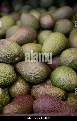 many avocado display for sale at local store Stock Photo - Alamy