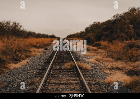 Vintage Railroad leading off into distance Stock Photo - Alamy