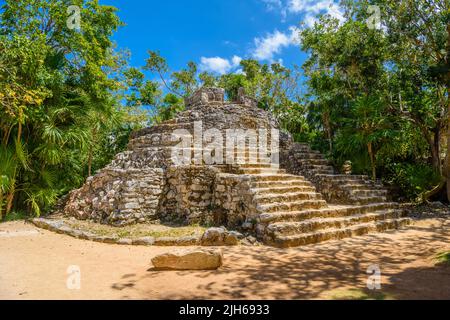 Mayan ruins in shadow of trees in jungle tropical forest Playa del ...