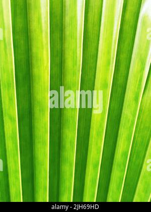 Processed with VSCO with u1 preset Stock Photo - Alamy