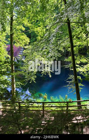 Blautopf, karst spring, water body, spring pot, mill, hammer mill, mill ...
