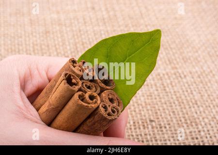 Bundle of cinnamon sticks on a linen canvas background Stock Photo - Alamy