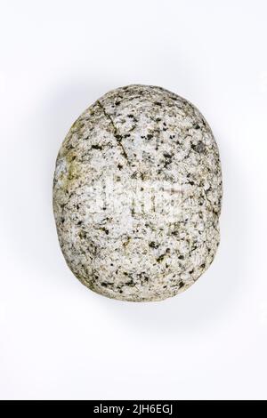 Boulder, stone, cropped, white background, studio shot Stock Photo - Alamy