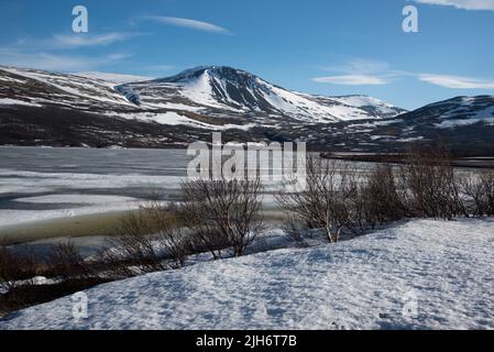 Roughly 1000 meter above sea level Dovrefjell is a mountain range and ...