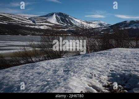 Roughly 1000 meter above sea level Dovrefjell is a mountain range and ...