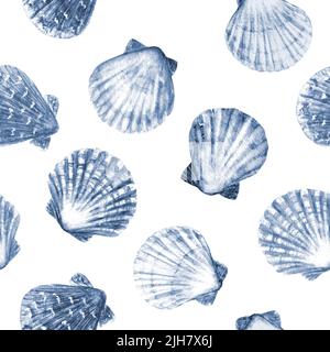 Monochrome sea shells seamless pattern texture background Stock Photo ...