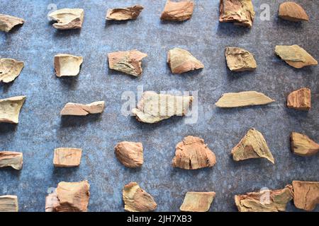 Raw whole dried Arjuna bark Stock Photo - Alamy