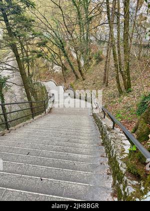 A scenic vertical shot of a mossy trail on a sandy shore leading to the ...