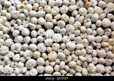 Fox Nut, Foxnut, Makhana or Gorgon Plant, Euryale ferox, Nymphaeaceae ...