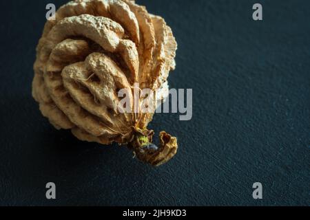 Nectarine fruit stone seed closeup Stock Photo - Alamy