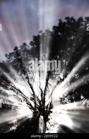 Beautiful sunrise with bright sunlight coming throught black dramatic ...