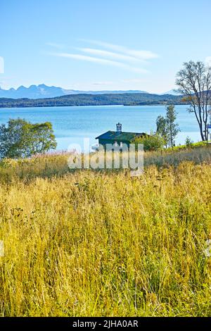 Scenic view of a lake house with uncultivated trees, bushes, shrubs ...