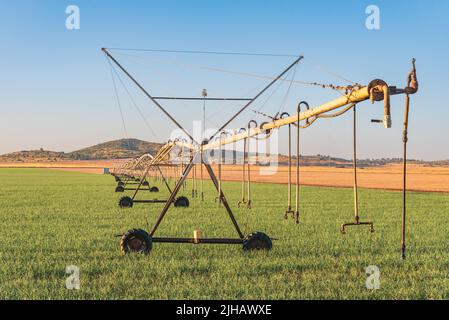 Central pivot irrigation system, irrigation pipes with sprinklers on ...
