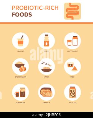 Probiotic-rich food for better digestive health, infographic with icons Stock Vector Image & Art ...