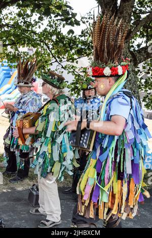 Dressed traditionally, the Dartmoor Border Morris, provide music and ...
