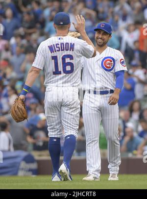 Chicago Cubs' Alfonso Rivas (36) looks back at Toronto Blue Jays first ...