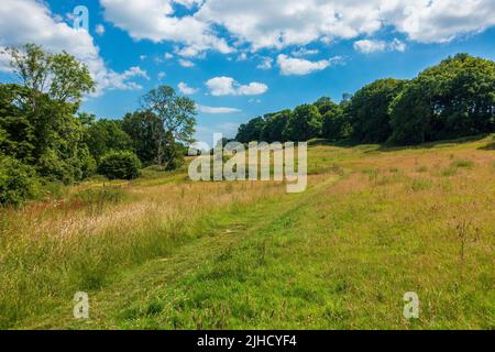 Brockhill Country Park Stock Photo - Alamy