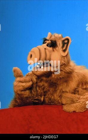 ALF, ALF, 1986 Stock Photo - Alamy