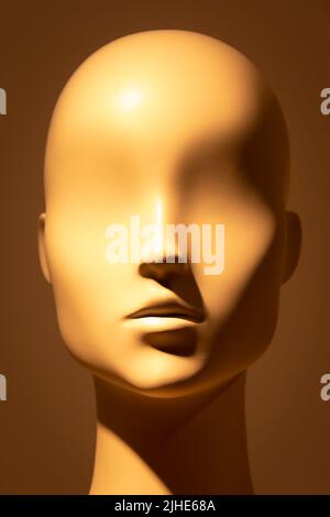 Mannikin in shop window, Wellington, North Island, New Zealand Stock ...