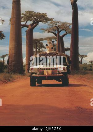 Michael Kael contre la World News Company Year : 1998 France Director ...