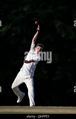 Junior cricketer bowling Stock Photo - Alamy