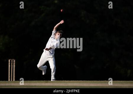 Junior cricketer bowling Stock Photo - Alamy
