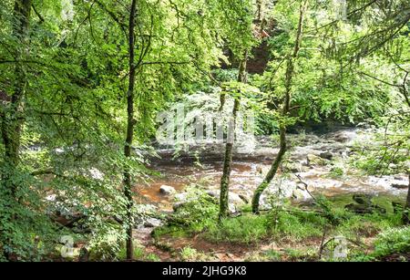 The River Braan captured from the Hermitage forest in Dunkeld ...