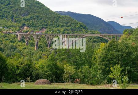 Montenegro - Budva: September 8, 2021: Zip line among Djurdjevica Tara ...