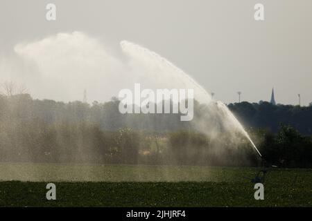 During the heatwave of 2022, Britain reached 40 degrees for the first ...