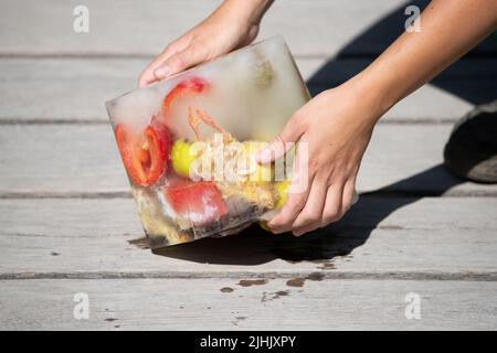 Bielefeld, Germany. 19th July, 2022. A red deer stands in a water pool ...