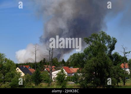 Dresden, Germany. 19th July, 2022. Smoke rises from a forest near ...
