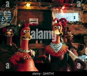 Chicken Run Rocky Ginger Stock Photo - Alamy