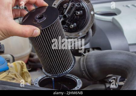 Car repair, filter replacement selective focus Stock Photo - Alamy