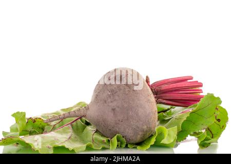 One sweet red beet, close-up, on a white background Stock Photo - Alamy