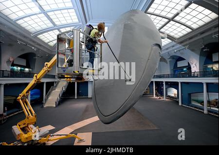 Life sized Blue Whale model displayed in the National History museum ...