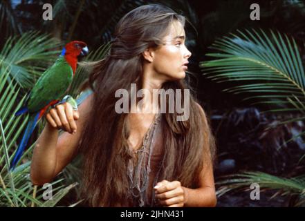 THE BLUE LAGOON 1980 Columbia Pictures film with Brooke Shields as ...