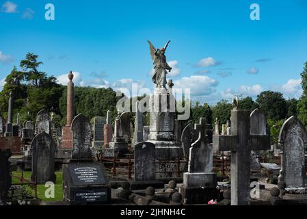 An angel statue in part of Waikaraka cemetery in Auckland, New Zealand ...