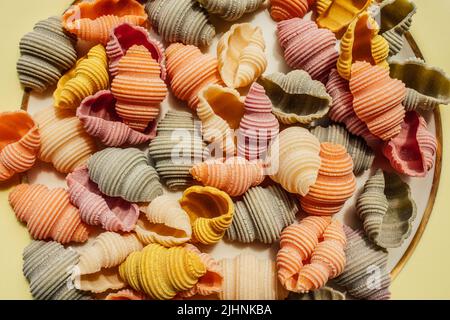 dry Sea Conch Shells "Conchiglioni" Colored Pasta, spinach, beetroot ...