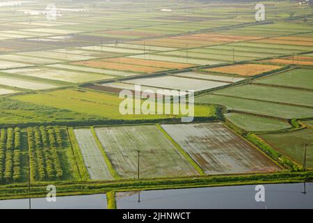 Rice Paddy in Aso Caldera and Mt. Aso, Kumamoto Prefecture, Japan Stock ...