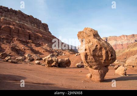 The roads around Vermillion Cliffs National Monument provide excellent ...
