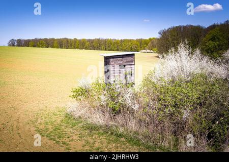 The hunting pulpit built on the edge of the field with a nice view ...