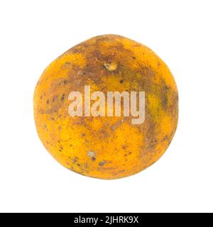 orange. rotten. dirty. isolated on white background Stock Photo - Alamy