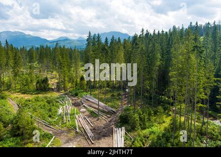 Piles of sawn logs in beautiful Low Tatras alpine landscape. Majestic ...