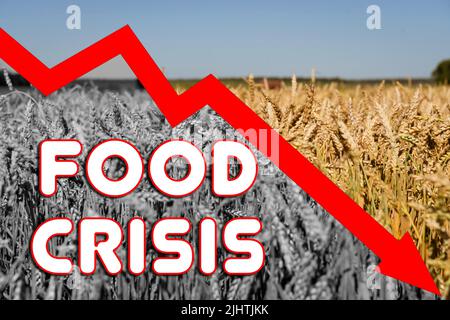 Food crisis. World problems with the supply of wheat, a chart of ...