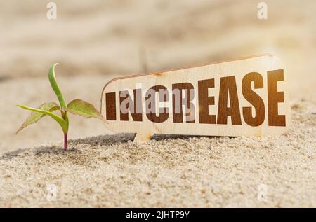 Business concept. Near the sprout there is a plate with the inscription ...
