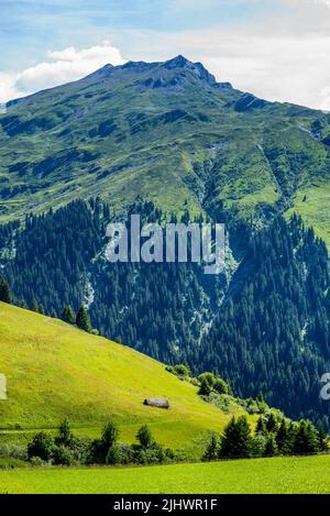 Old alpine farms at the bottom of the Piz Beverin in Switzerland in ...