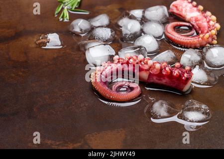 Octopus tentacles among ice and melt water. Copy space. Top view. Rusty ...
