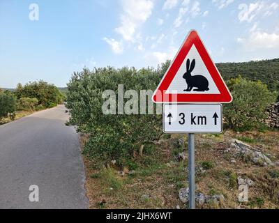 Rabbit warning road sign, Korcula island, Croatia, Sep 2018 Stock Photo ...