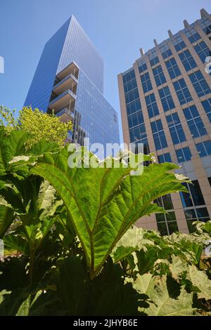 Some of the beautiful plantings in the gardens, juxtaposed with the ...